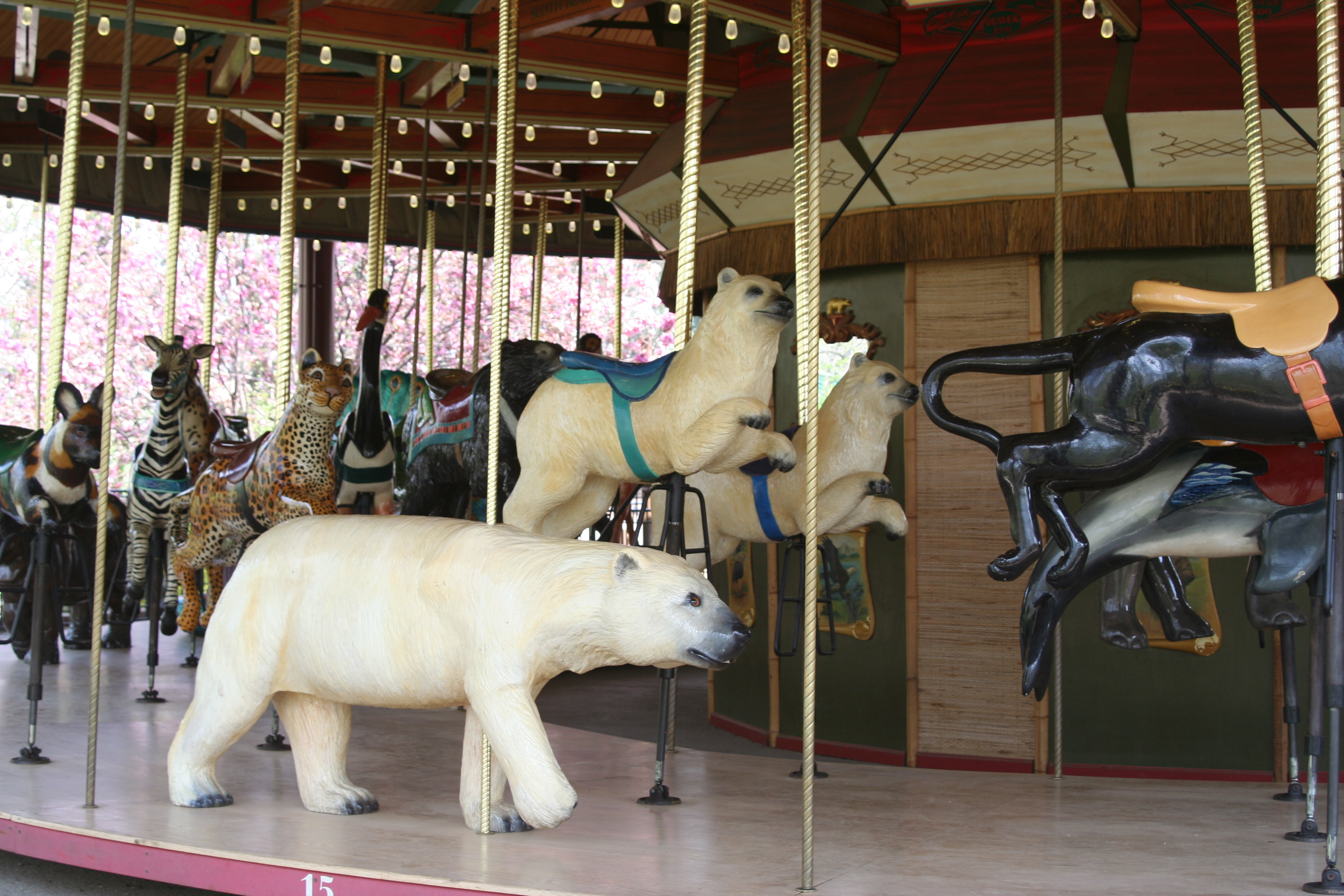Denver Zoo – Colorado Carousels